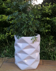 Macetas | The Home Depot México