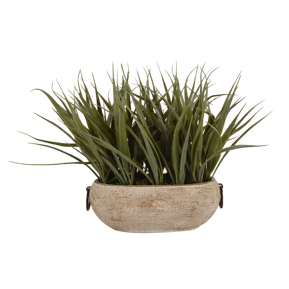 PLANTA DEC. CLÁSICA | The Home Depot México