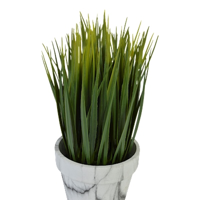 PLANTA DECORATIVA PASTO LARGO VERDE | The Home Depot México