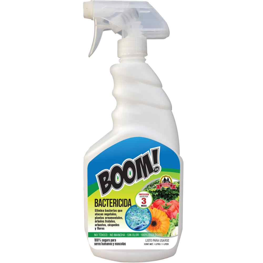 BACTERICIDA BOOM 1 L | The Home Depot México