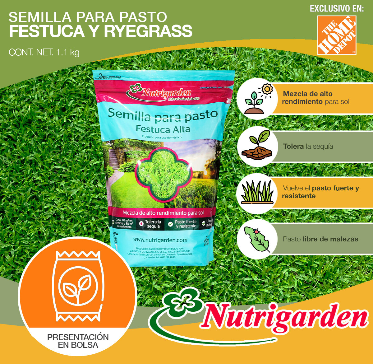 SEMILLA PARA PASTO FESTUCA ALTA 1.1 KG NUTRIGARDEN | The Home Depot México