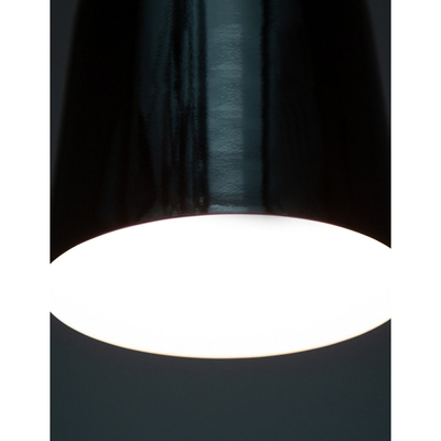 COLGANTE NEGRO E27 60W 1 LUZ | The Home Depot México