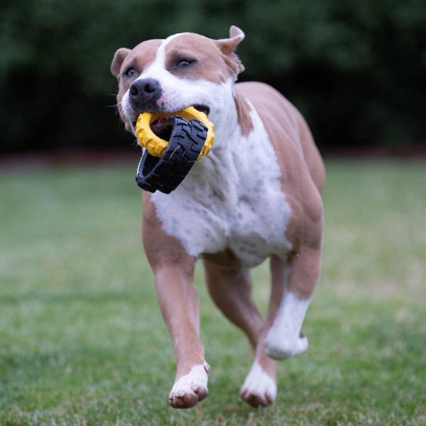 REMOLCADOR DE 3 ANILLOS FLEXIBLE DE CAUCHO | The Home Depot México