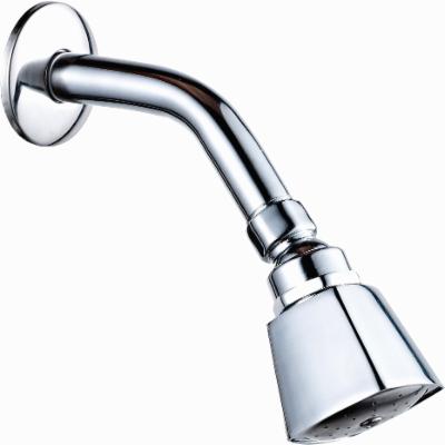 REGADERA ECOLOGICA CON BRAZO Y CHAPETÓN | The Home Depot México