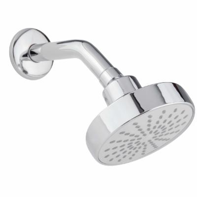 REGADERA ECOLOGICA CON BRAZO Y CHAPETON | The Home Depot México