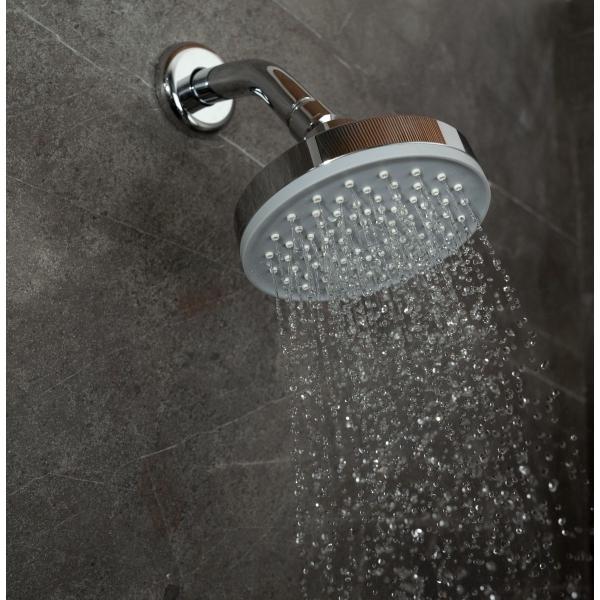 REGADERA CEBOLLA CON BRAZO Y CHAPETÓN | The Home Depot México - Ventas ...