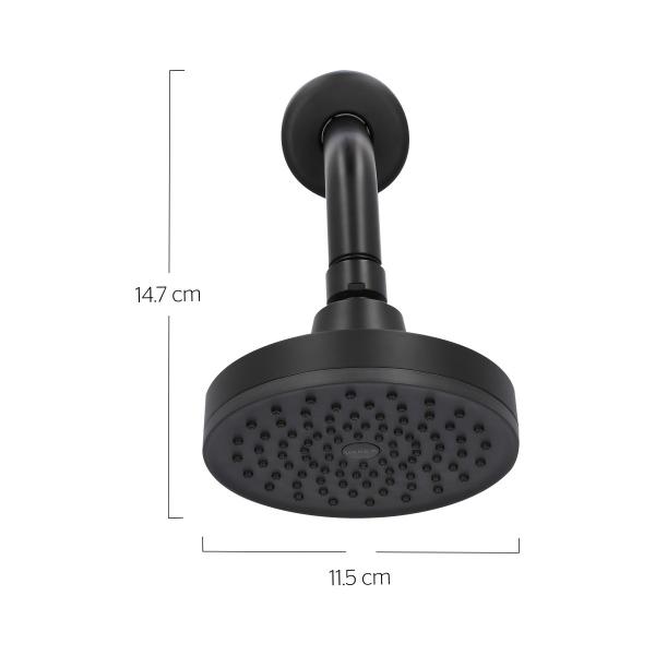 REGADERA CEBOLLA CON BRAZO Y CHAPETÓN | The Home Depot México