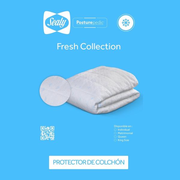 Protector Fresh Qs | The Home Depot México
