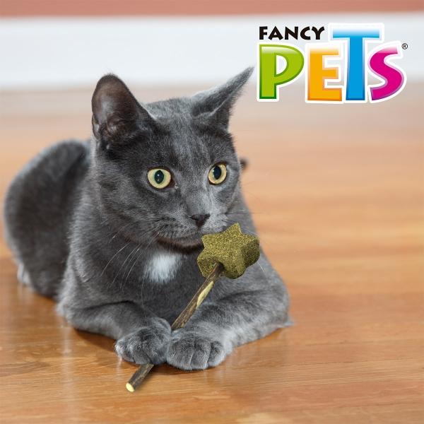 PALETA CATNIP | The Home Depot México