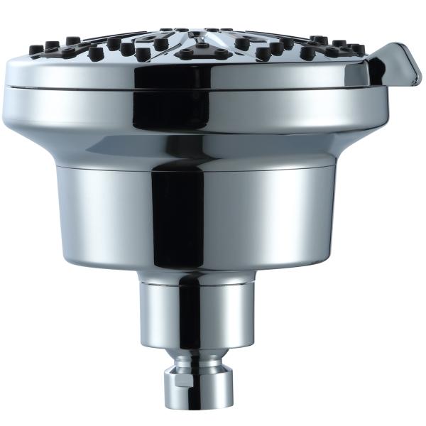 REGADERA CON FILTRO PALMIRA | The Home Depot México