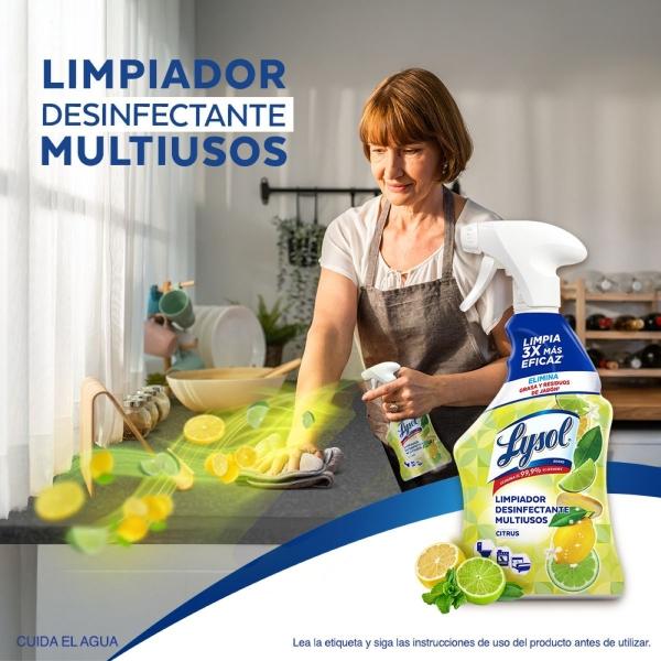 LYSOL APC BRAND NEW DAY TRIGGER CITRUS 12 x 650 ML | The Home Depot México