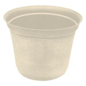 The Home Depot México