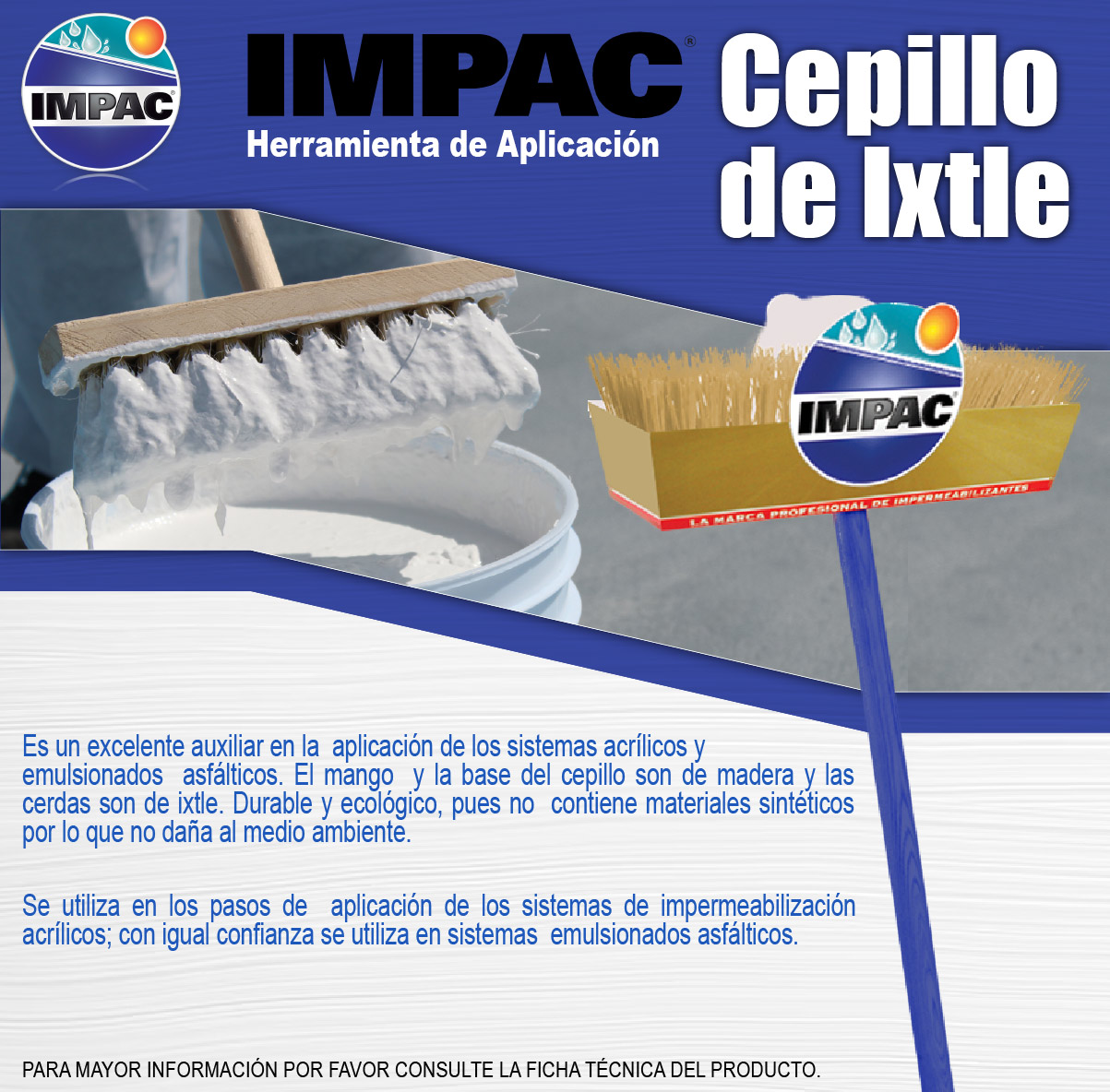 CEPILLO DE IXTLE APLICADOR DE 25.3 CM | The Home Depot México