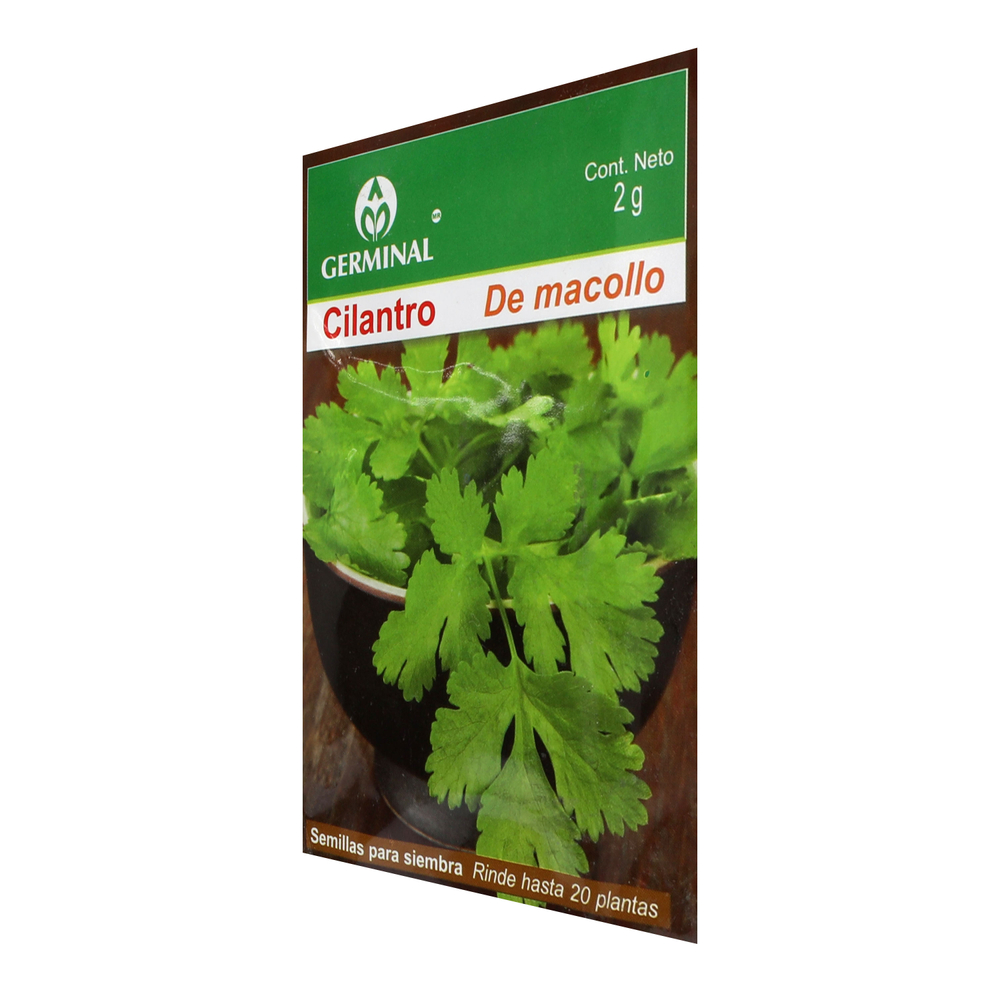 SEMILLA DE CILANTRO DE MACOLLO PARA SIEMBRA 2 GR GERMINAL | The Home ...
