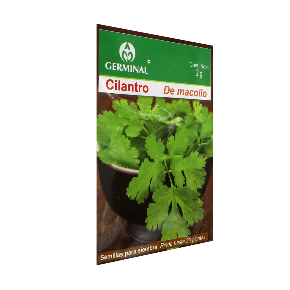 SEMILLA DE CILANTRO DE MACOLLO PARA SIEMBRA 2 GR GERMINAL | The Home ...